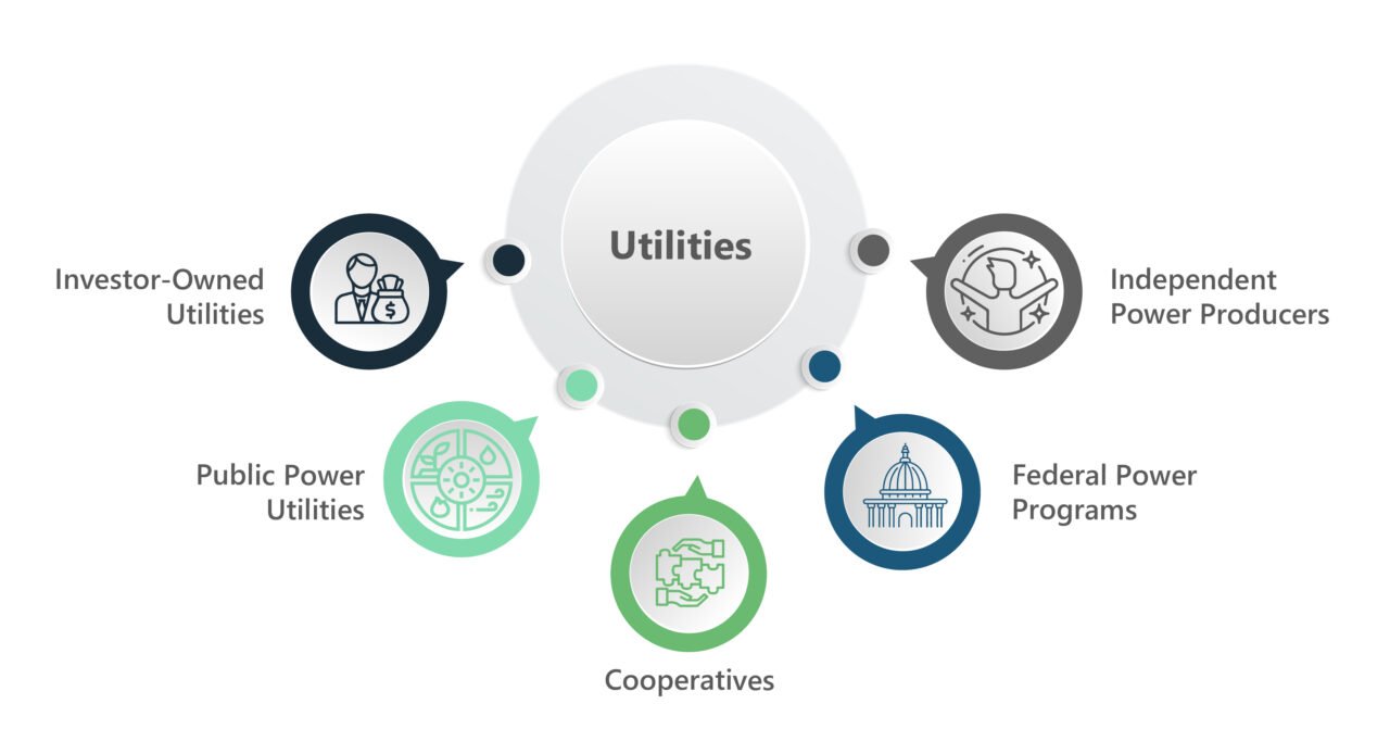 Guardians of the Grid: Key Players in the US Electricity Sector - PTR Inc.